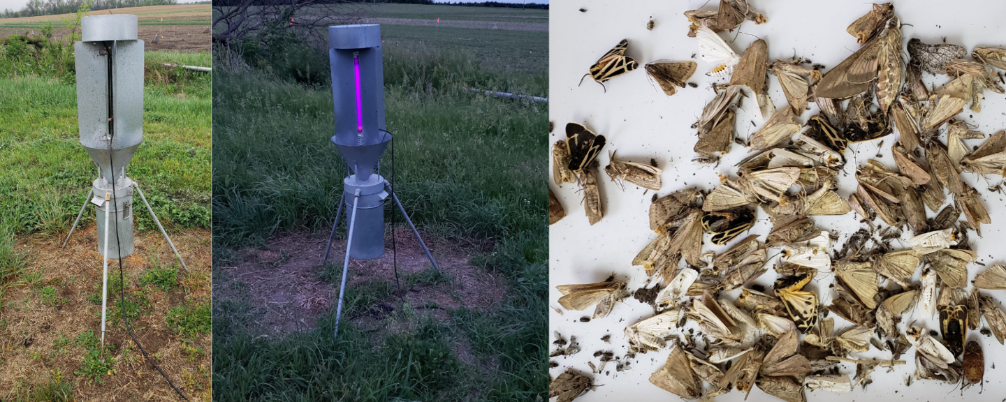 ENREEC Black Light Trap Data | Eastern Nebraska Research, Extension and ...