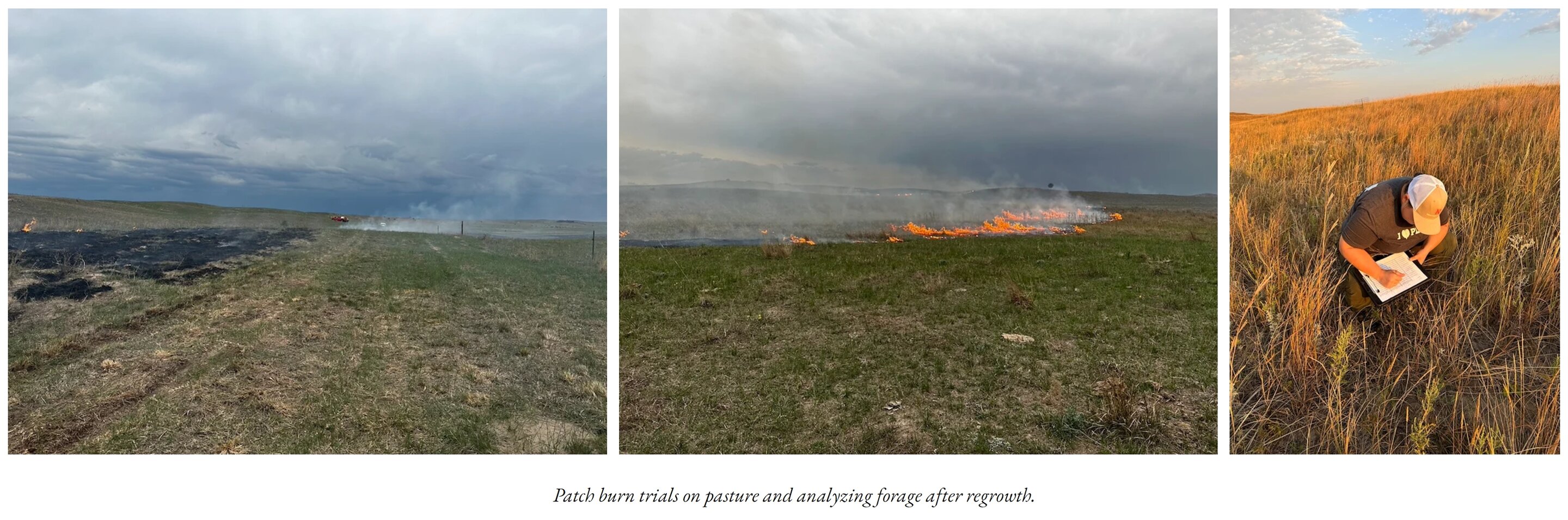 barta-brothers-ranch | Eastern Nebraska Research, Extension and ...